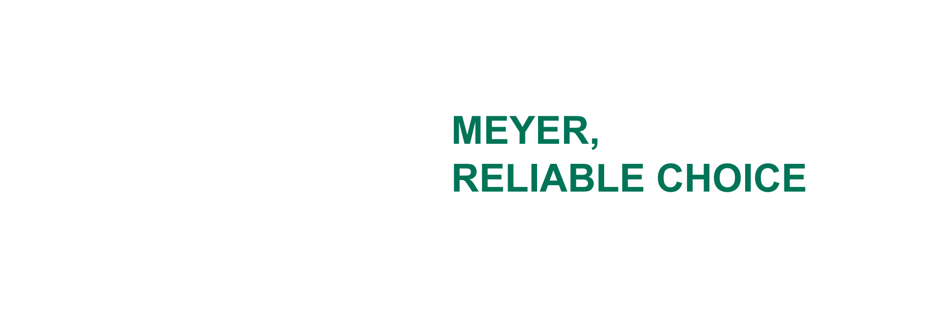 Meyer - foodsafety, healthcare, recycling